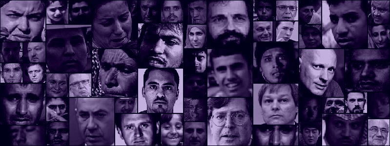 The faces of migration